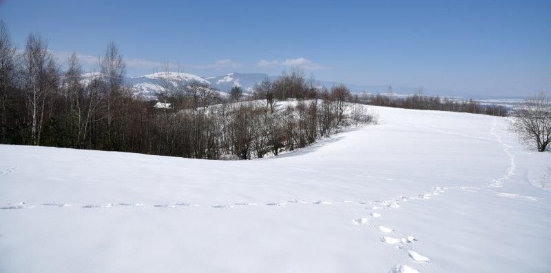 Huge building plot in beautiful Carpathians. BIG price reduction!