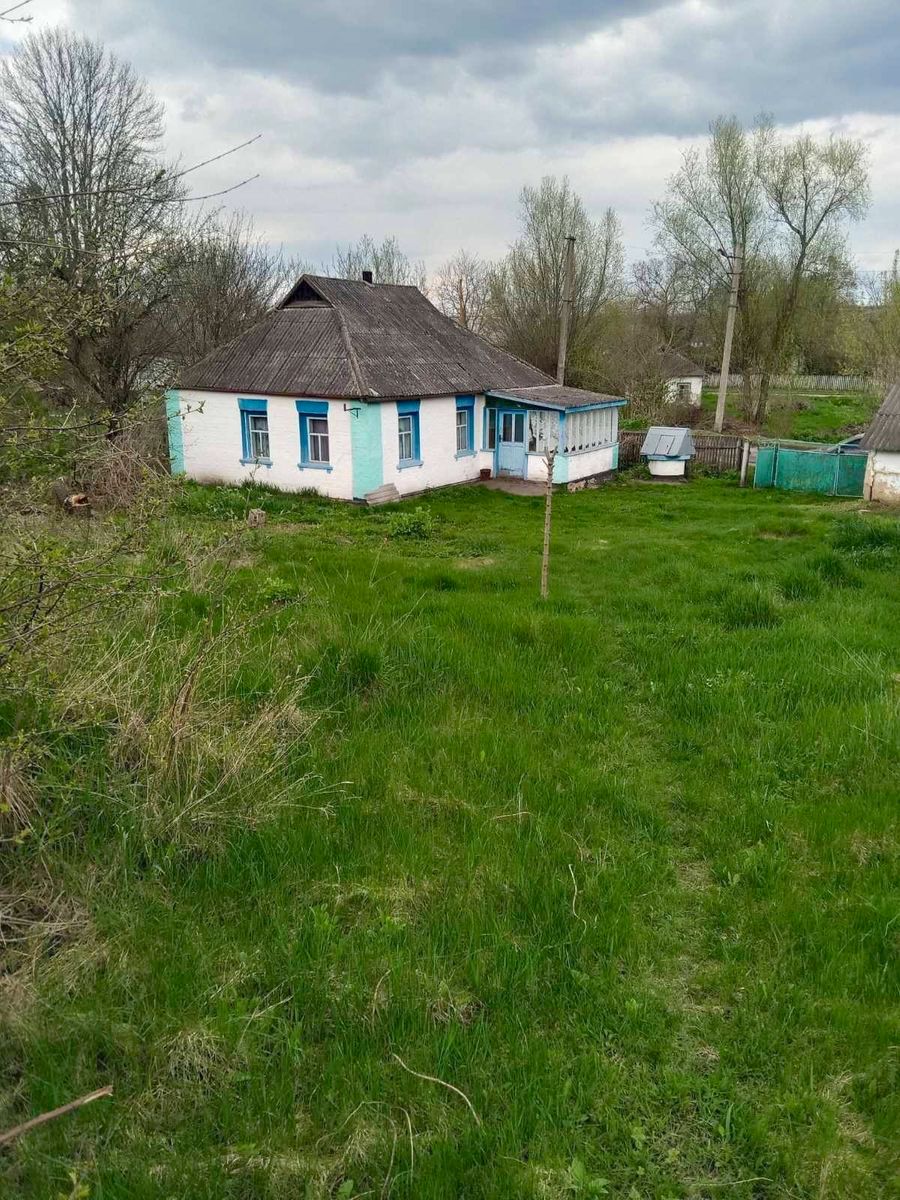 Property for sale in Ukraine with large garden and plenty of fruit trees