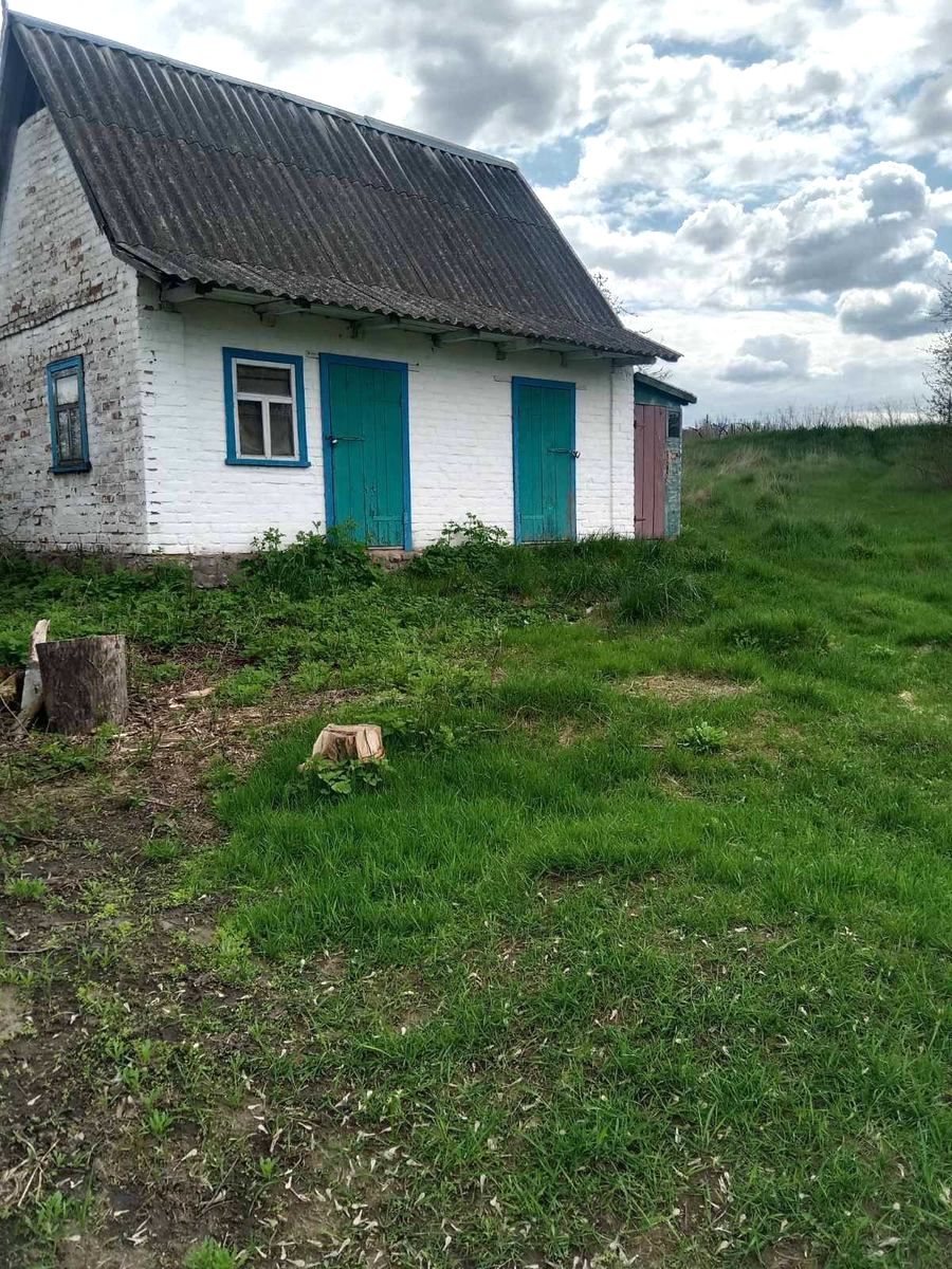 Property for sale in Ukraine with large garden and plenty of fruit trees