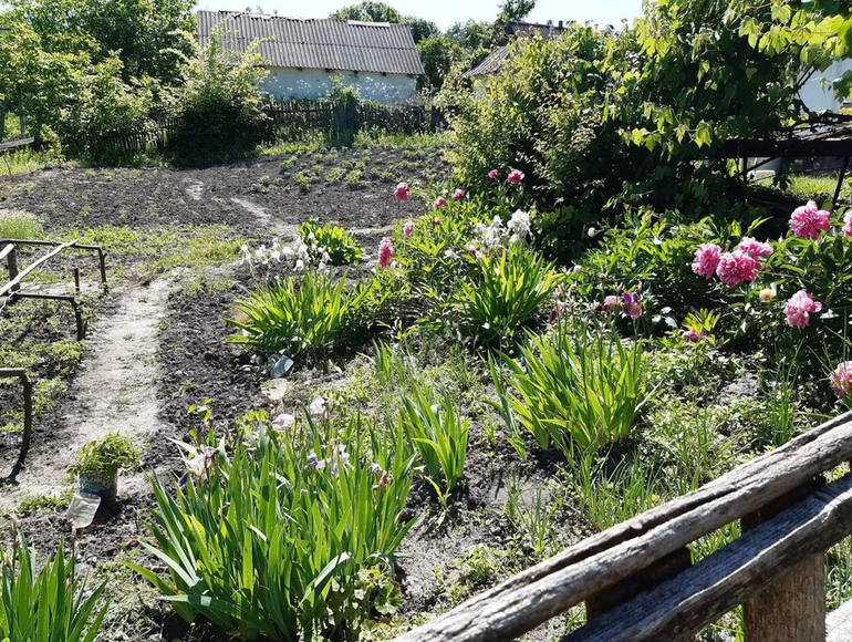 Ukrainian smallholding farm for sale close to facilities